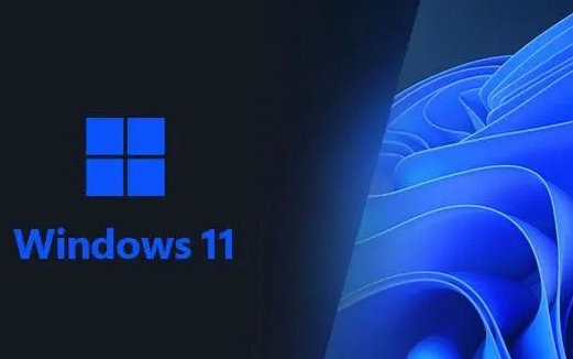 最新win11系统下载_win11系统下载专业版_windows11纯净版下载-系统家园